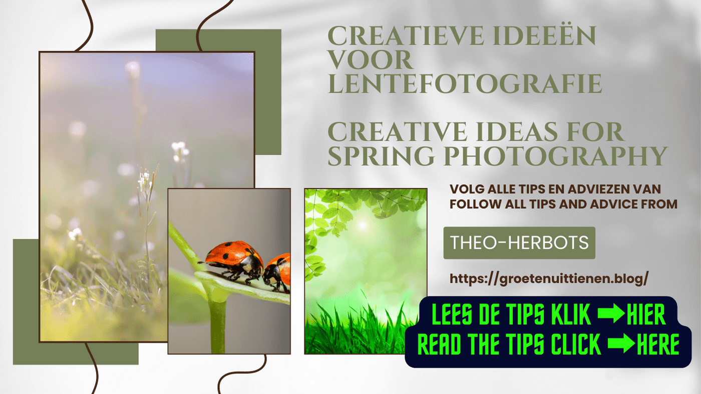 Creatieve ideeën voor lentefotografie || Creative ideas for spring ...